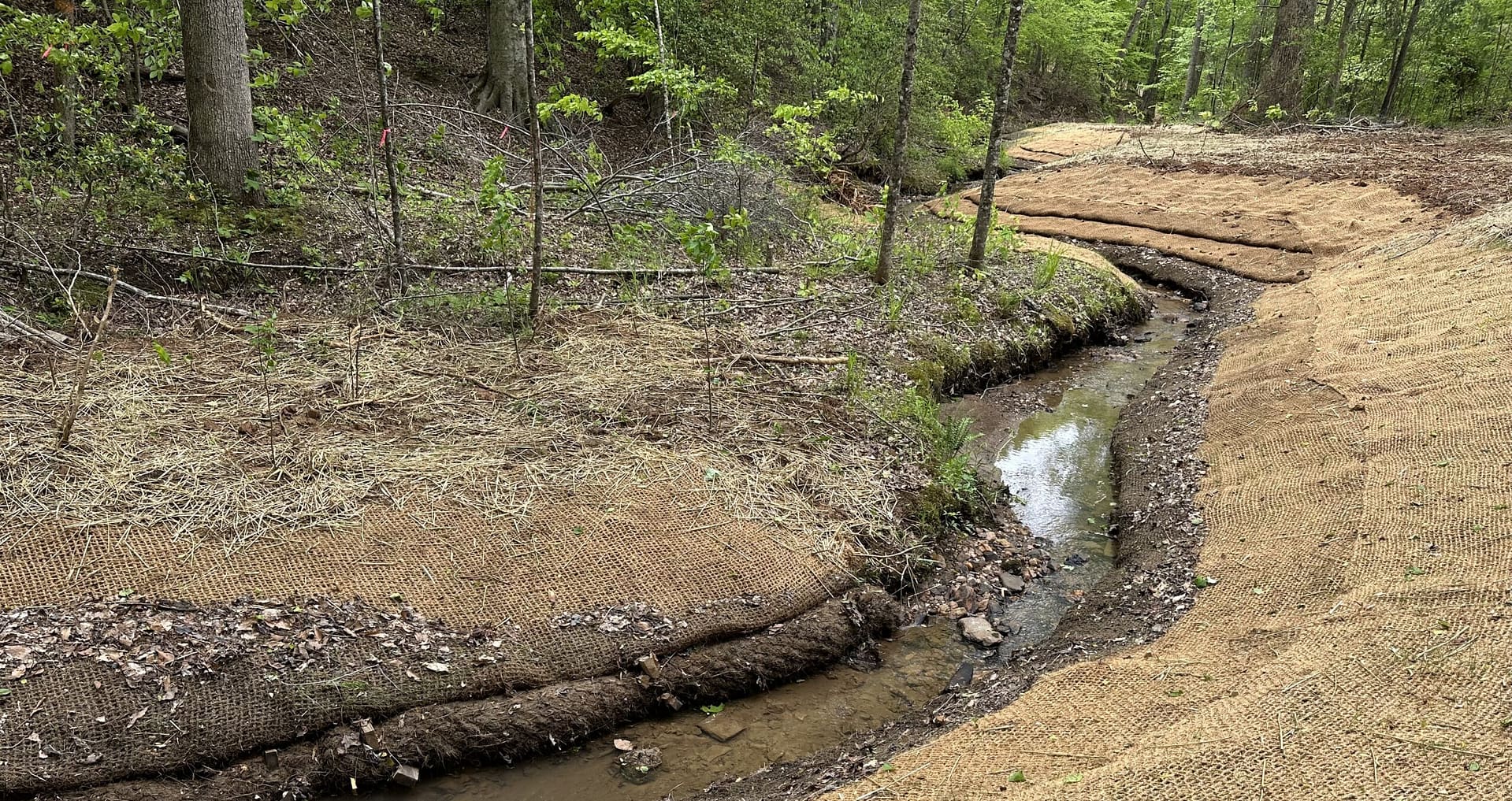 Thoughtful Channel Reconstruction - Tye River Mitigation Bank