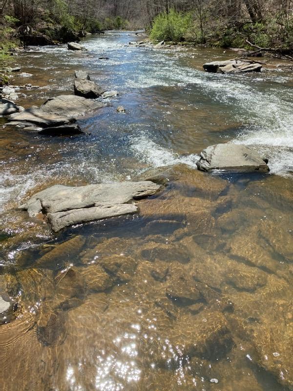 Progress Report – Tye River Mitigation Bank Restoration Project - Tye ...